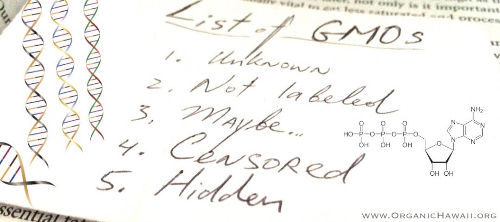 GMO Food: List of Genetically Engineered Food